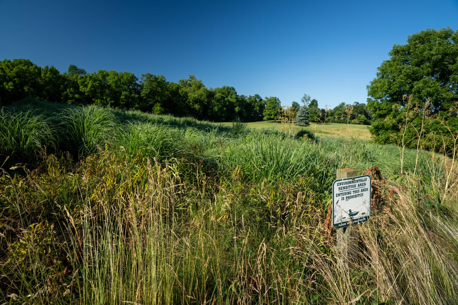 Conservation | Safari Golf Club